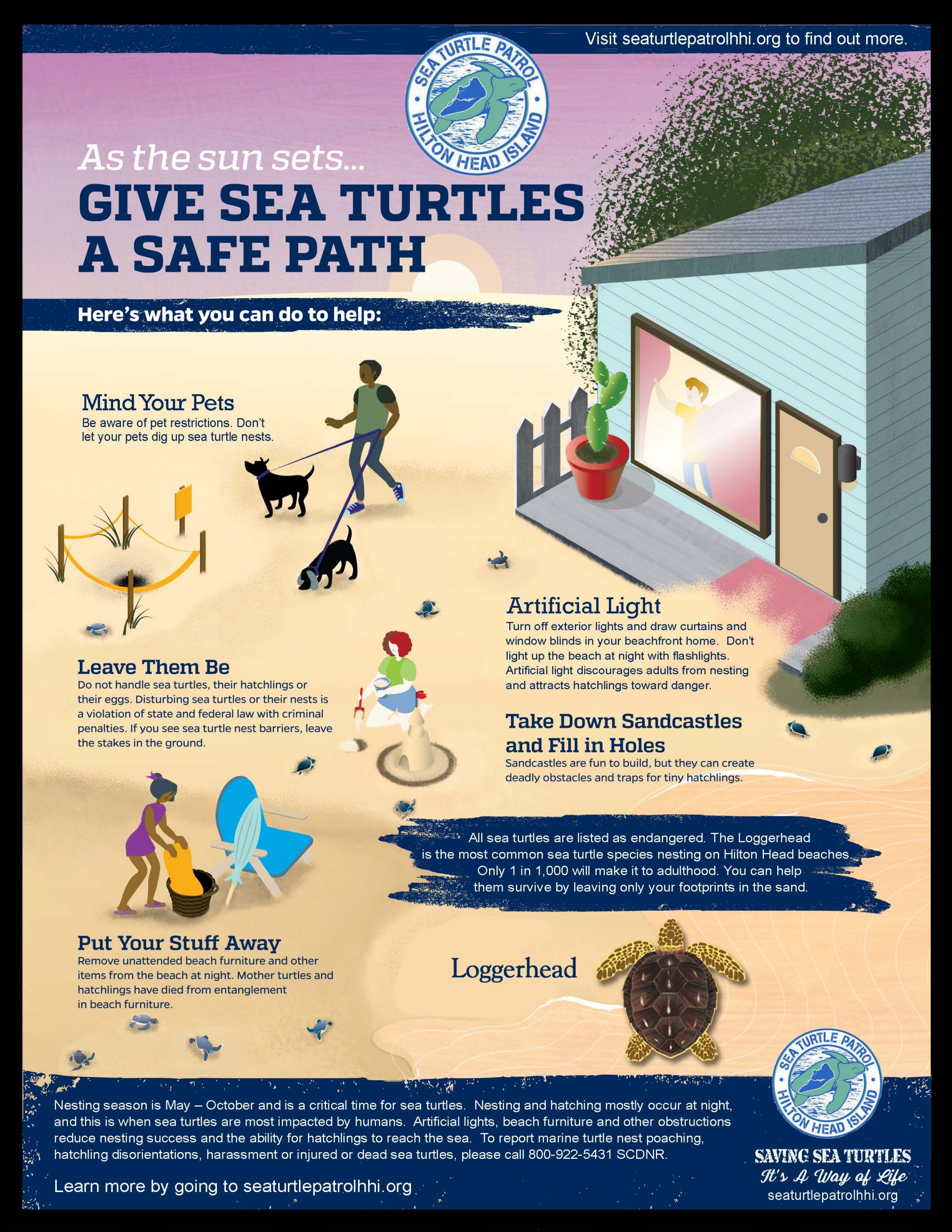 Wildlife - Palmetto Dunes Property Owners Association